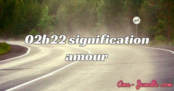 02H22 Signification Amour | Ame Jumelle